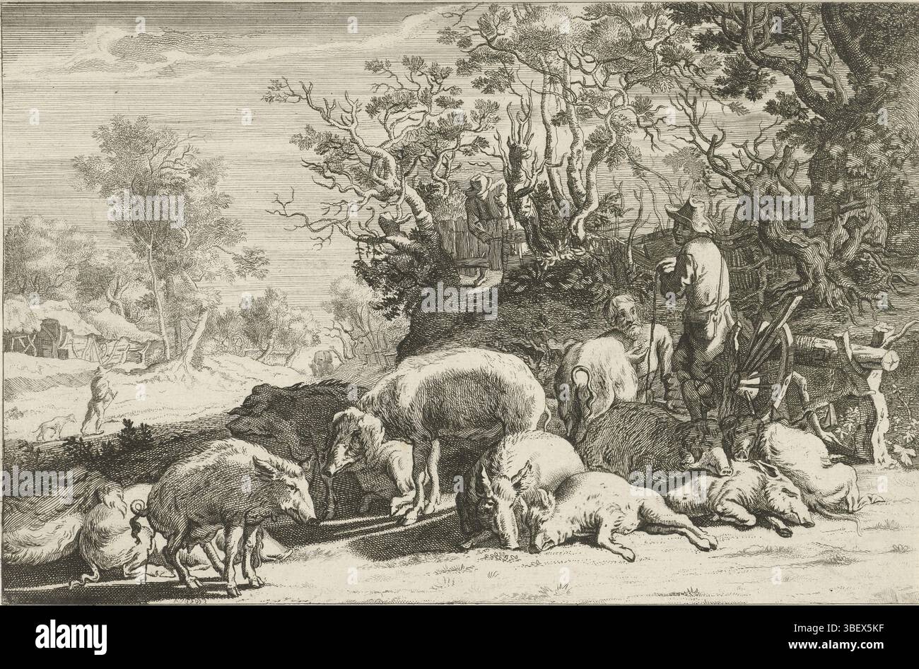 Pooping pig hi-res stock photography and images - Alamy