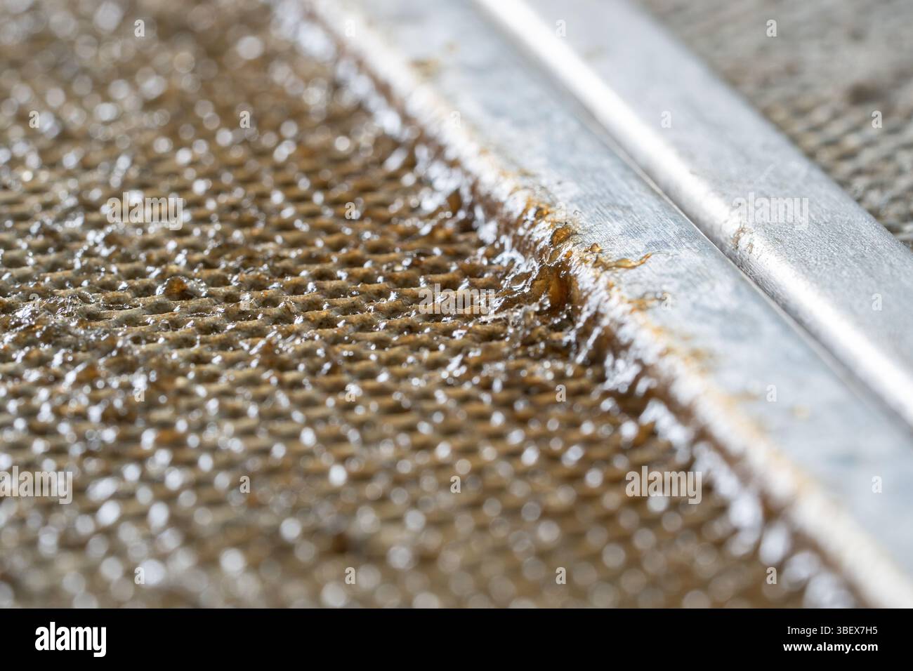 Close up dust with grease droplets, hardened fat on exhaust filter ...