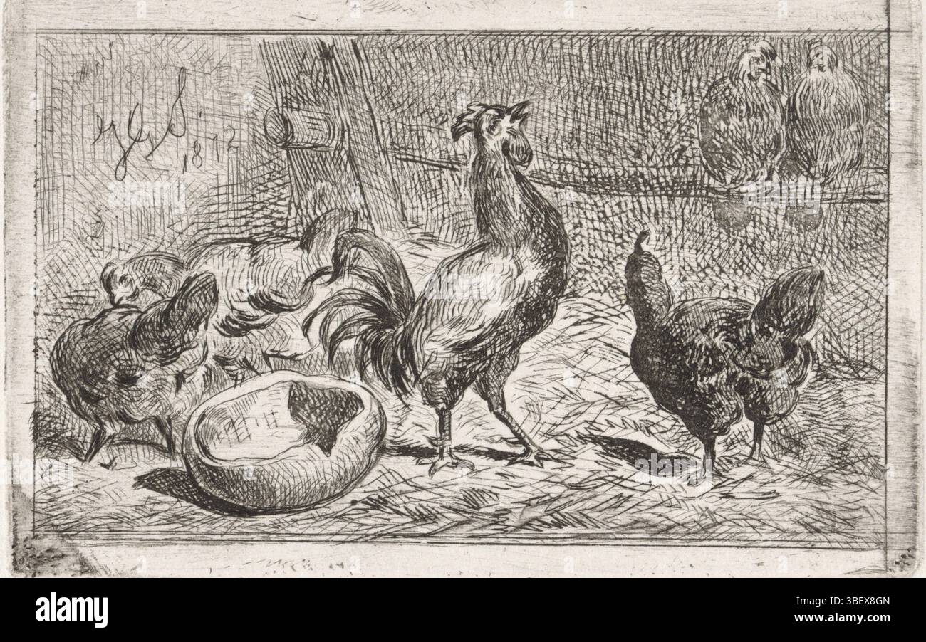 Crowding rooster hi-res stock photography and images - Alamy