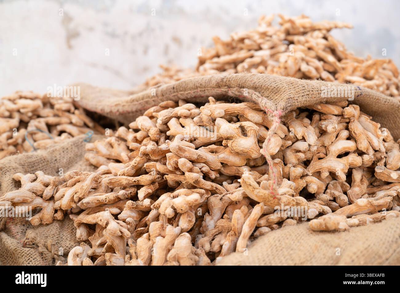 Ginger Root Heap, Sack With Spice In Indian Manufactory, Spicy Food ...