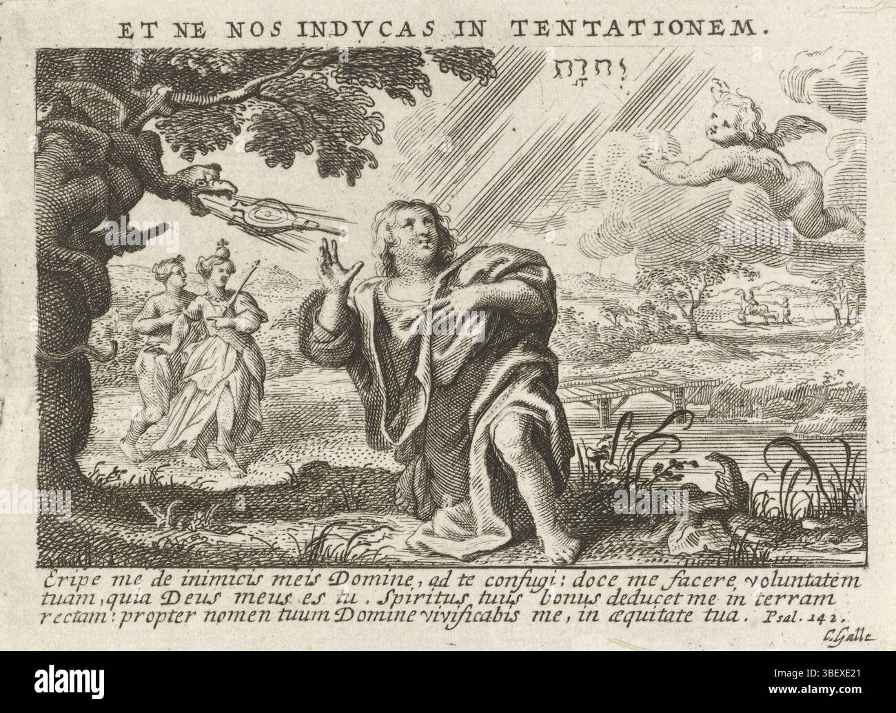 Antwerp, Galle, Cornelis (III), Antwerp, Cornelis (II), Test of Man ...