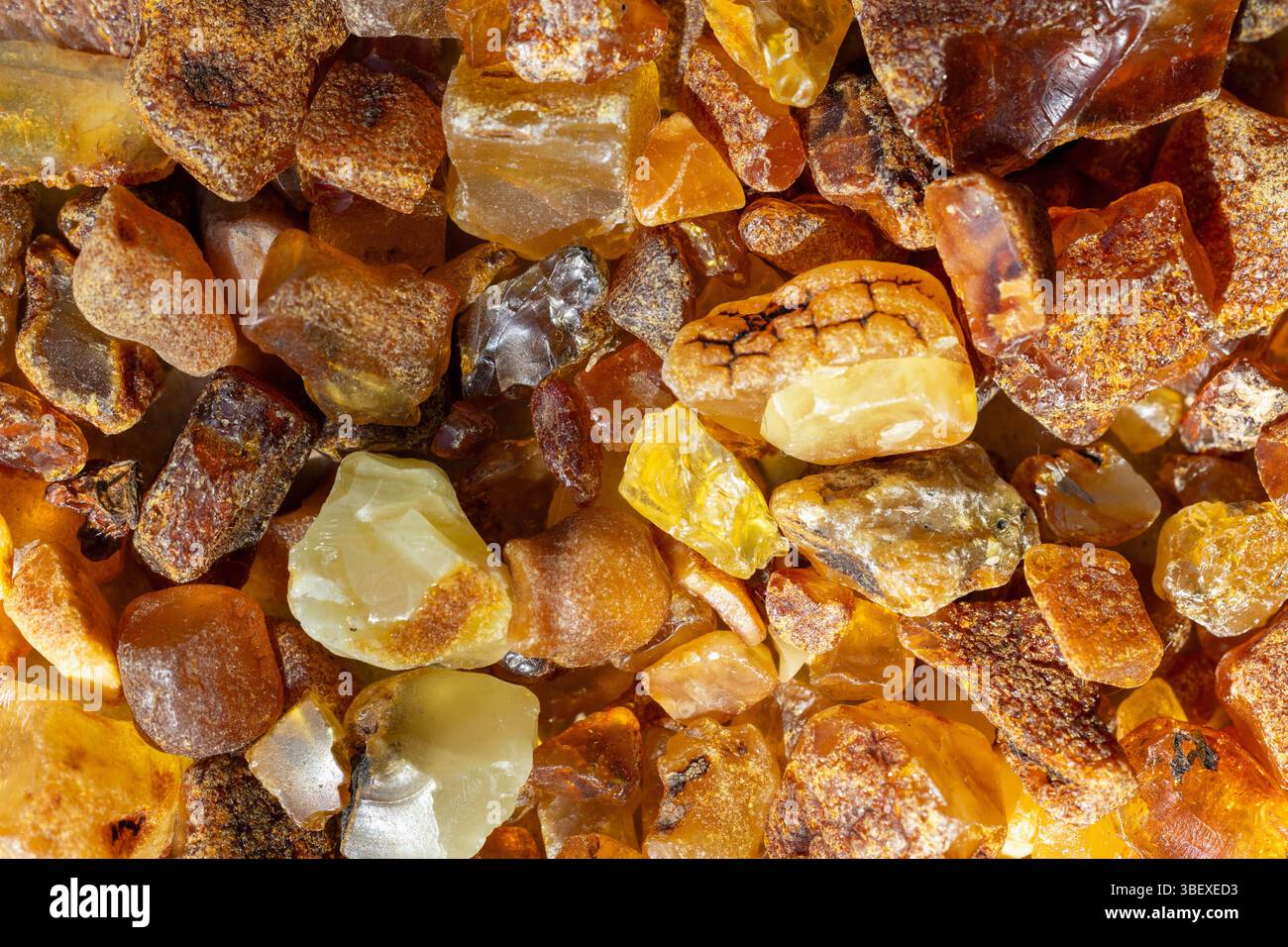 Ancient baltic amber rough hi-res stock photography and images - Alamy