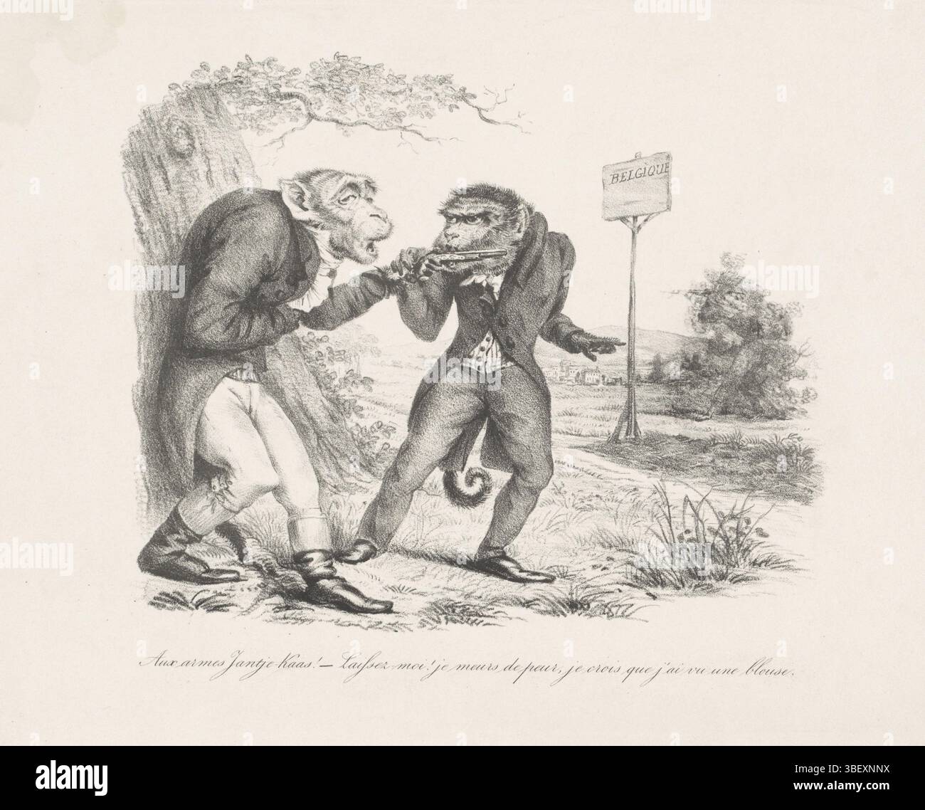 Old monkey leans hi-res stock photography and images - Alamy