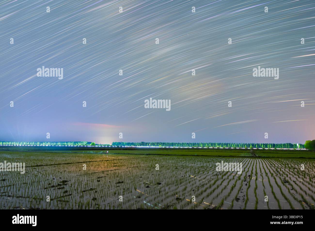 (250530) -- HARBIN, May 30, 2025 (Xinhua) -- This stack composite photo ...