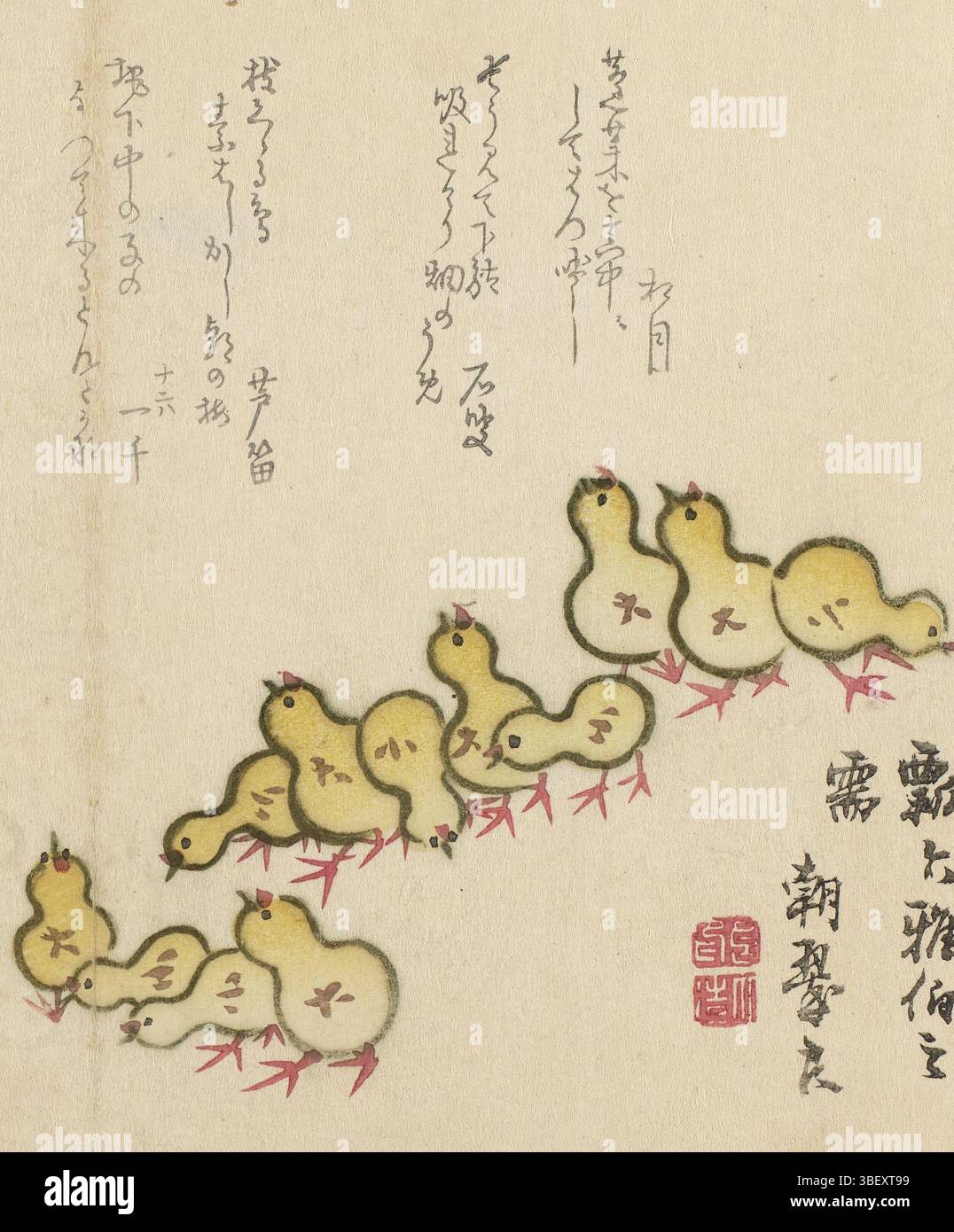 Japan, Hyôroku, Japan, Chôsui, Chickens, Twelve chicks with on their ...