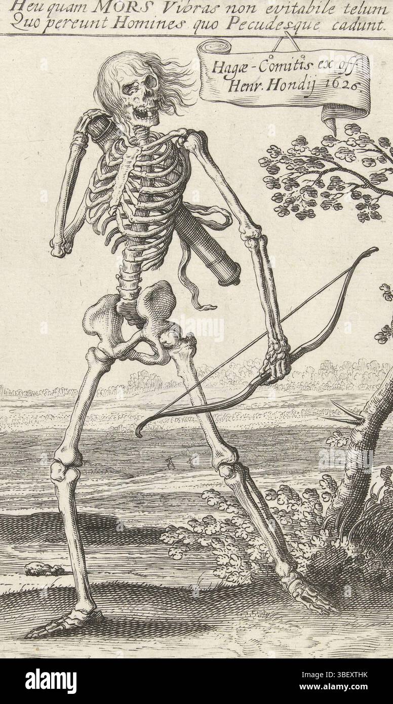Zodiac skeletons hi-res stock photography and images - Alamy