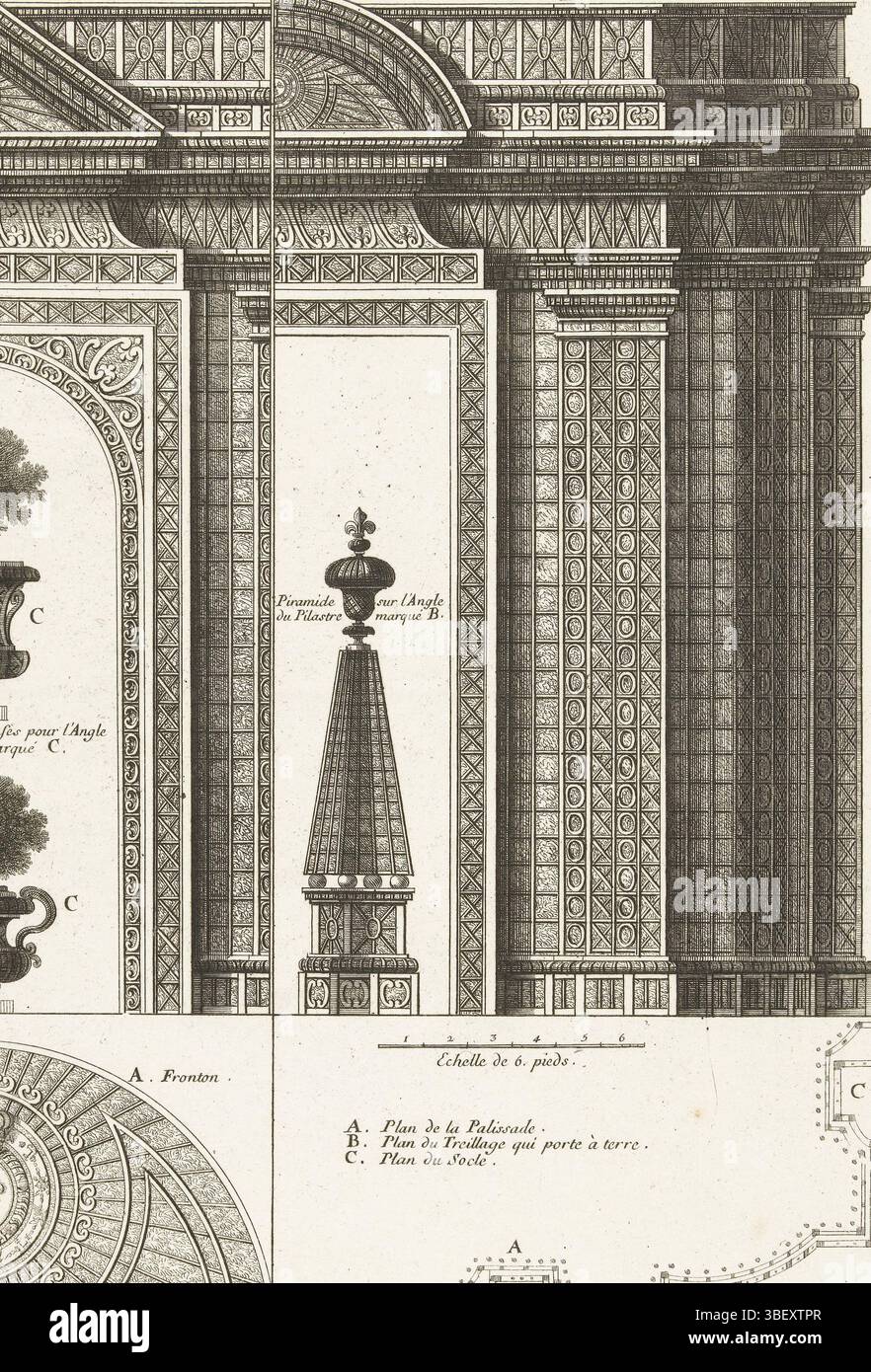 Plan de treillage qui porte a terre hi-res stock photography and images ...