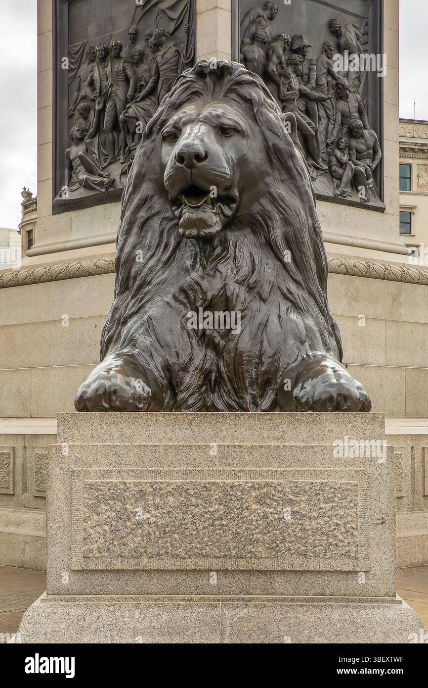 Nelsons lions in trafalgar hi-res stock photography and images - Alamy