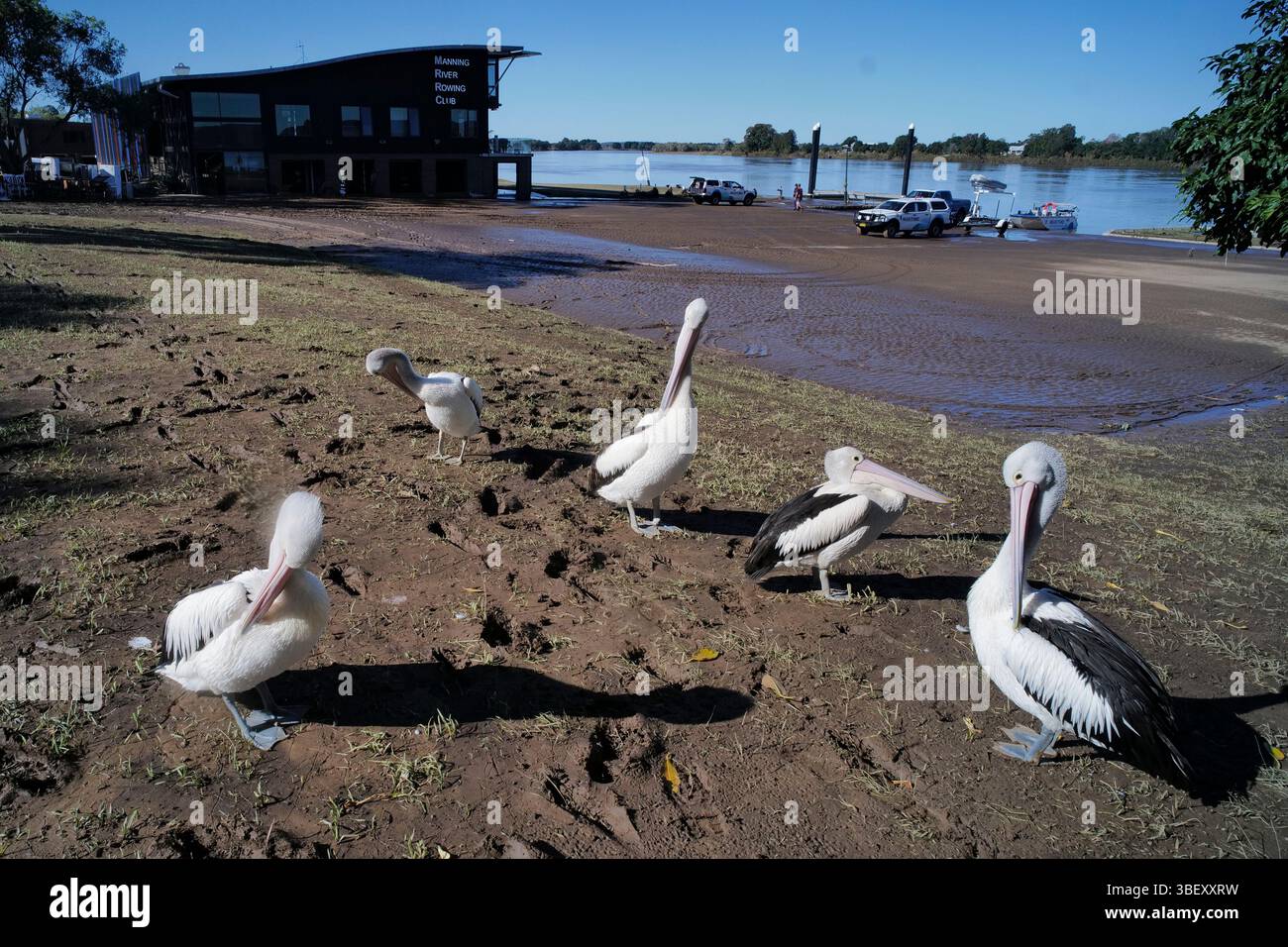 Taree, Australia. 24th May, 2025. The Manning River Rowing Club after ...