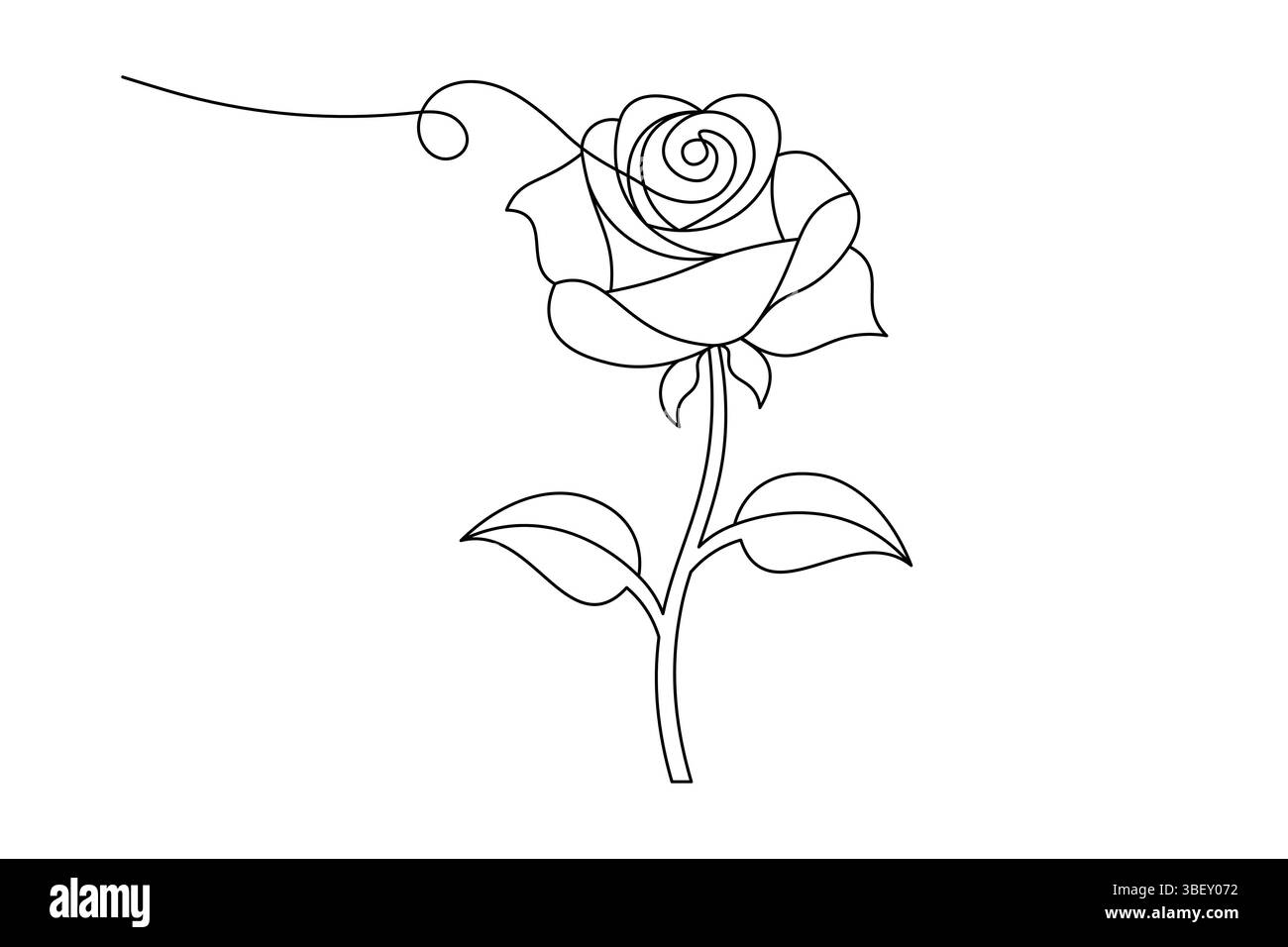 Rose Flower Continuous Line Drawing Elegant One Line Art of a ...