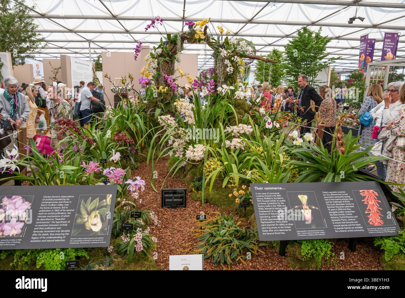Chelsea in bloom display hi-res stock photography and images - Alamy