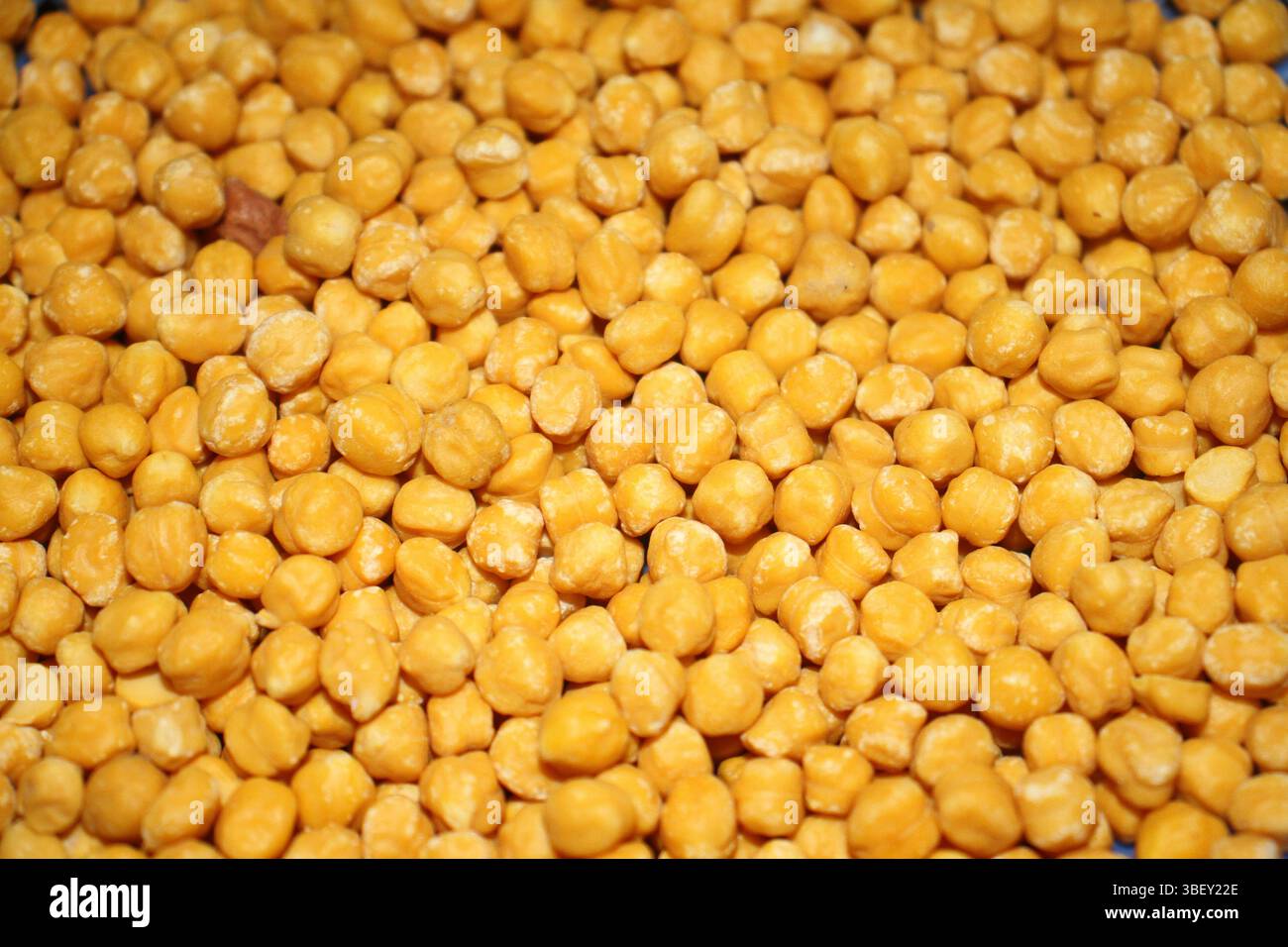 A close-up view of a pile of dry, yellow split chickpeas, the legumes ...