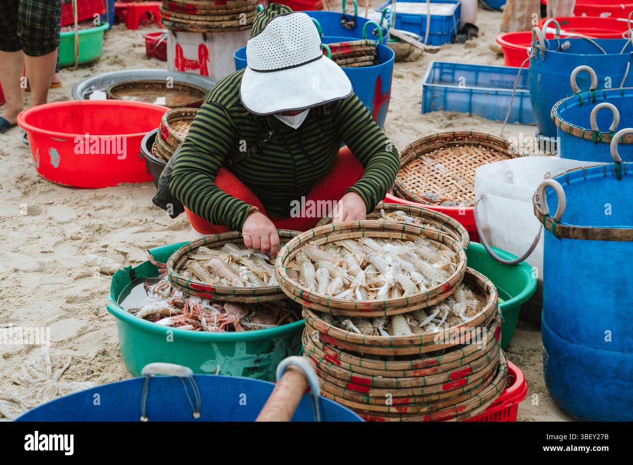 Vietnamese woman saleswoman sells marine crustaceans and seafood on Tam ...