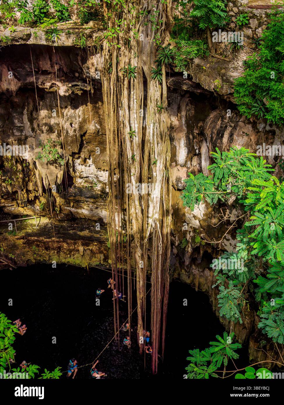 Cenote Oxman, Valladolid, Yucatan State, Mexico Stock Photo - Alamy