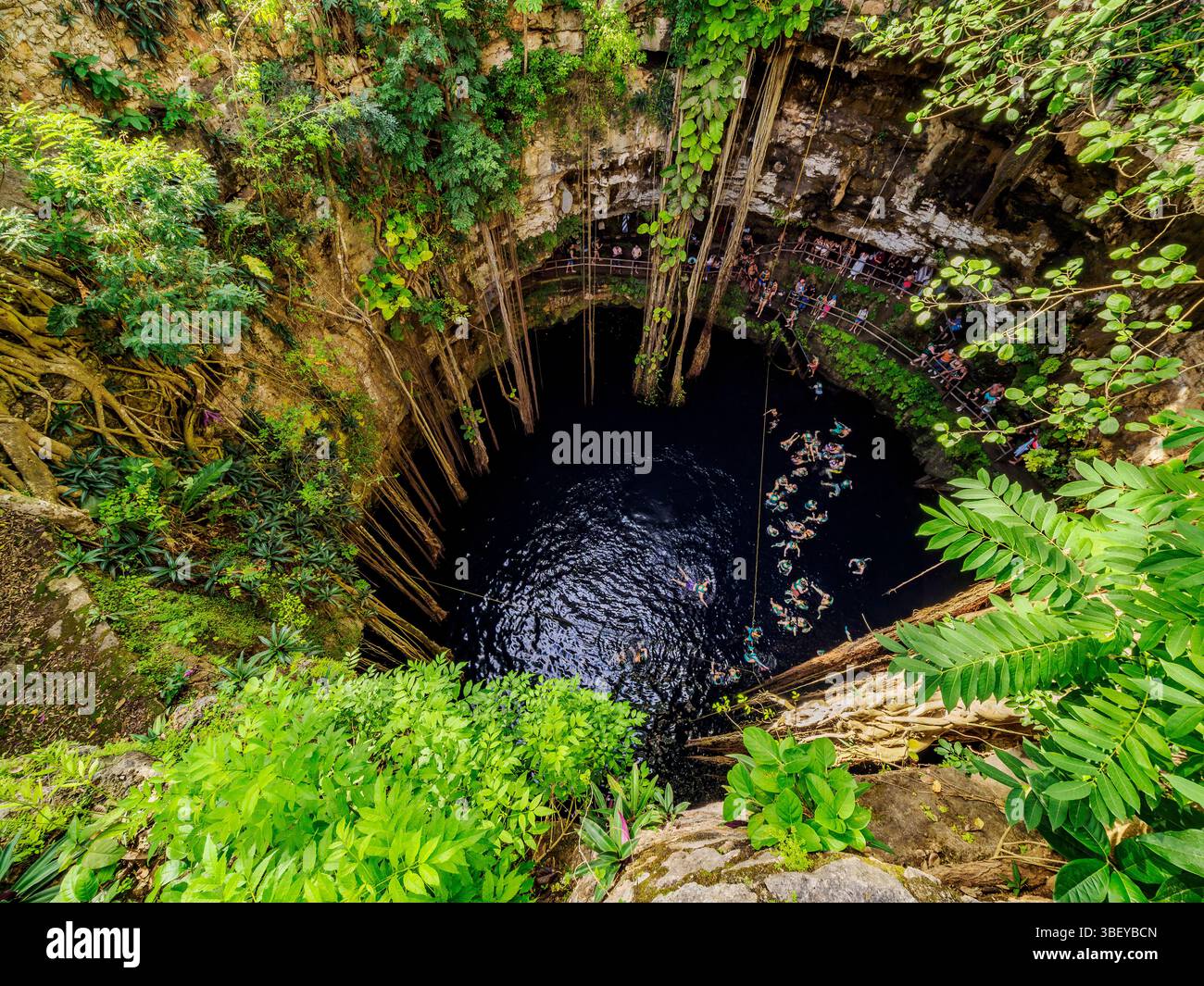 Cenote Oxman, Valladolid, Yucatan State, Mexico Stock Photo - Alamy