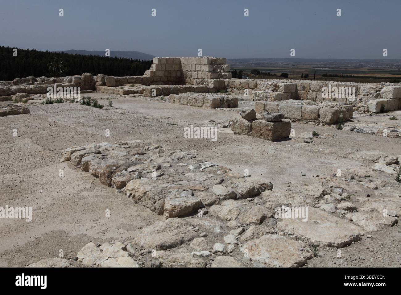 Palace of king solomon hi-res stock photography and images - Alamy