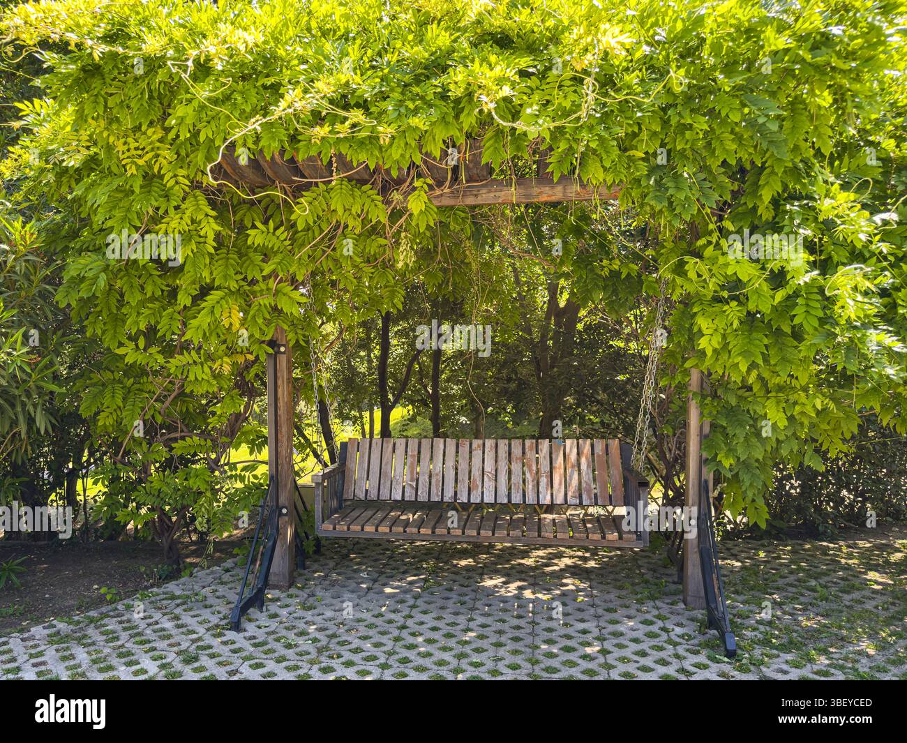 Wooden garden swing under lush green climbing plants, surrounded by ...