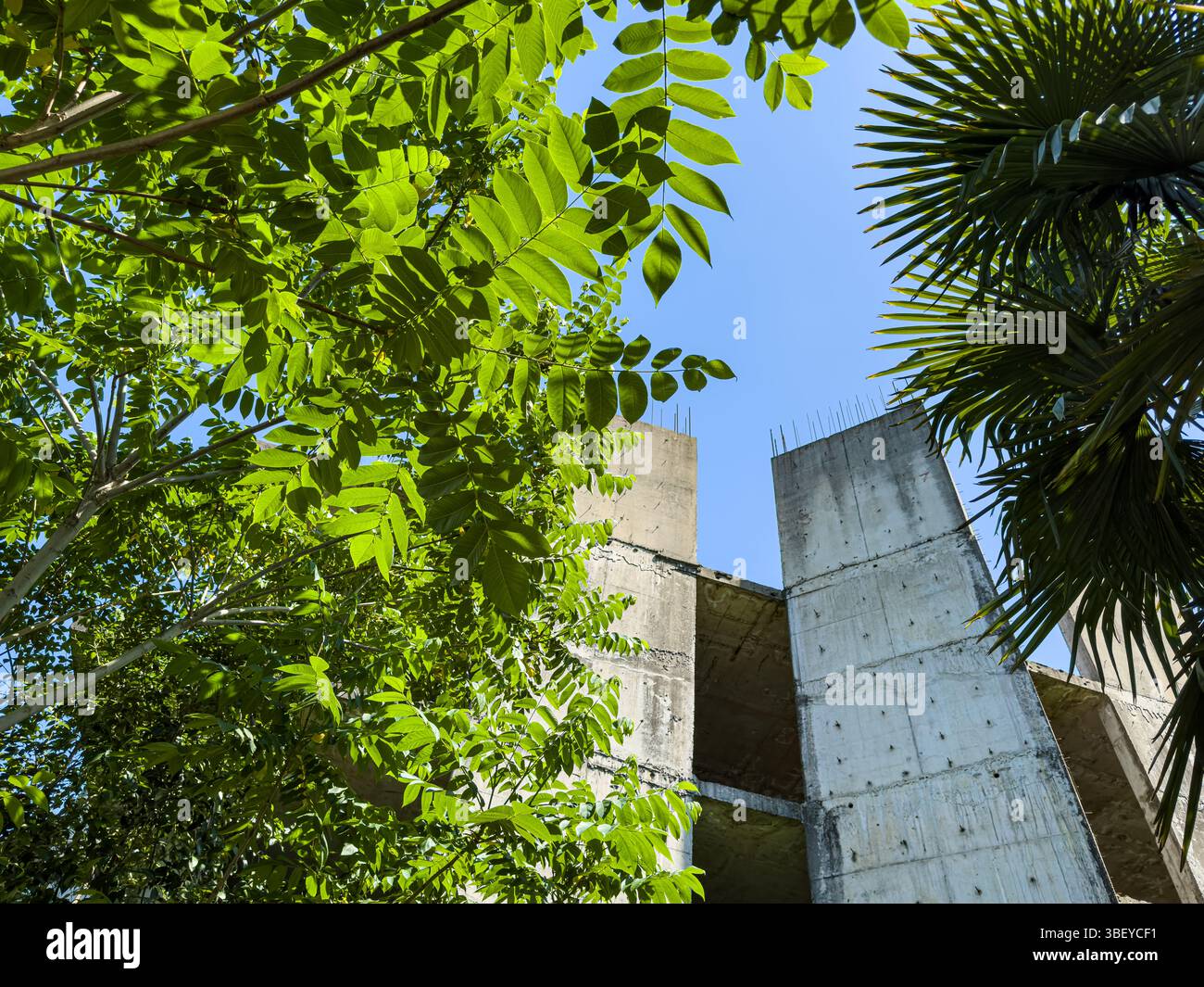 Concrete building under construction surrounded by lush green trees and ...