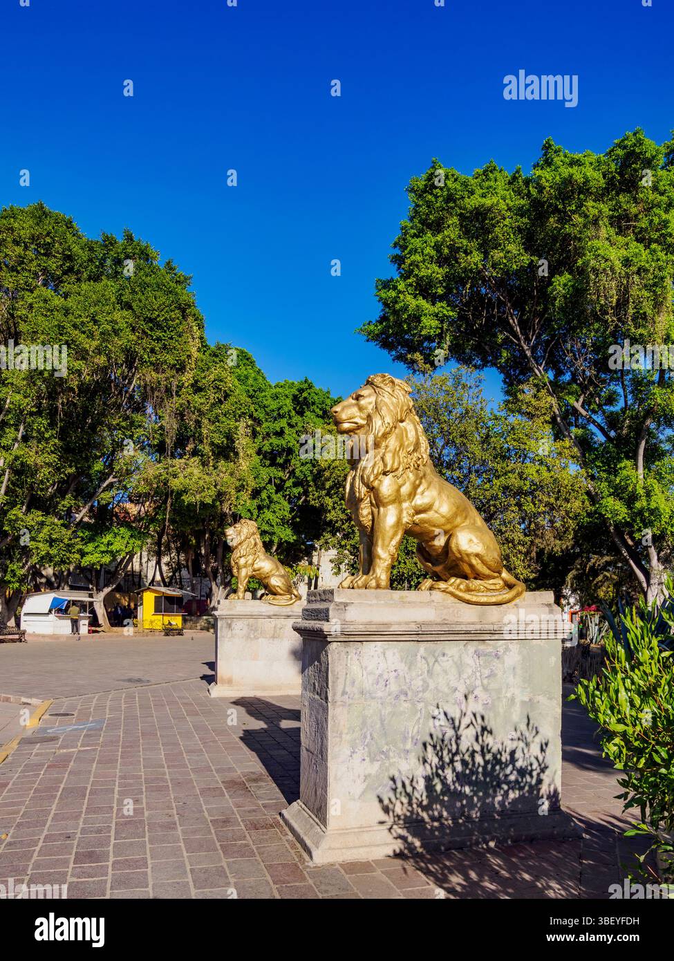 Lions at El Llano Park, Oaxaca de Juarez, Oaxaca State, Mexico Stock ...