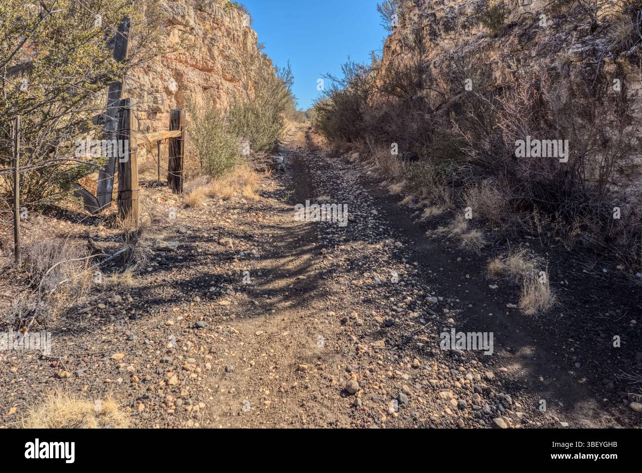 A narrow and overgrown section of the abandoned Johnson Canyon Railroad ...
