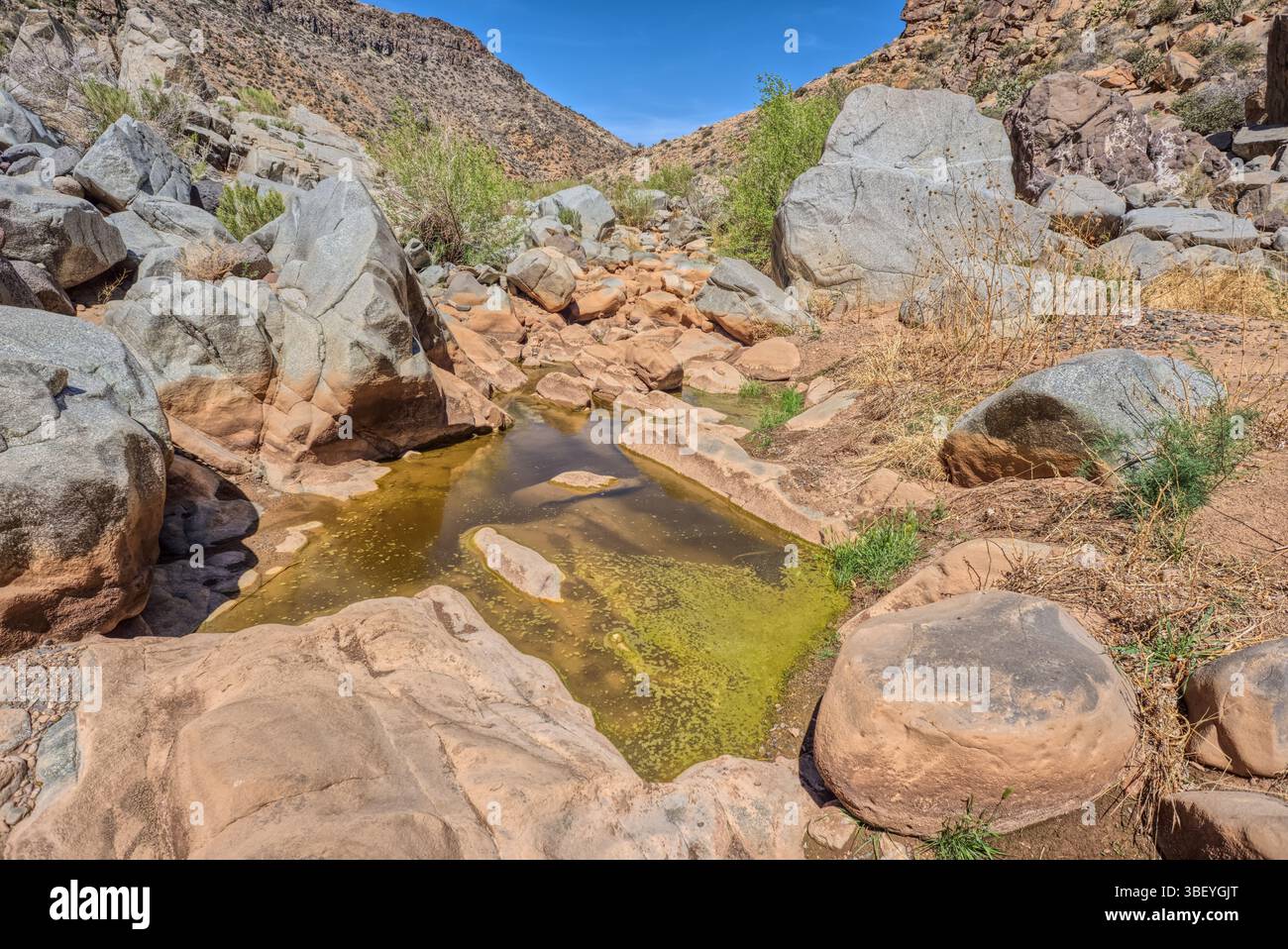 An ephemeral pool of water in the granite riverbed of the Agua Fria ...
