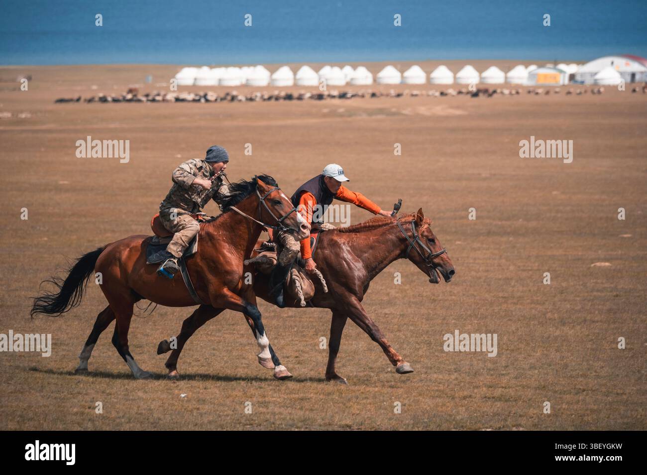 Two horse riders playing Kok boru traditional horse game of Kyrgystan ...