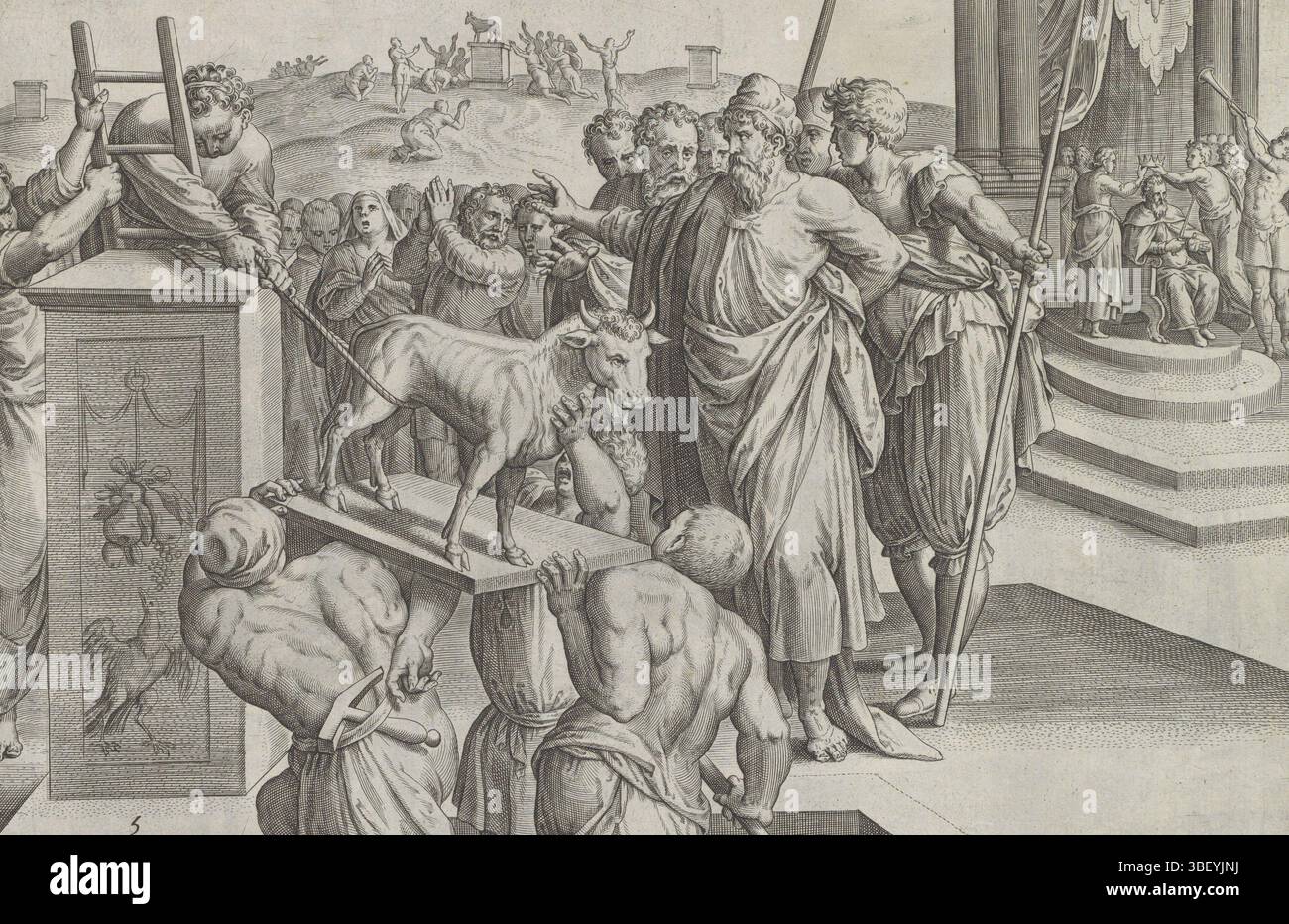 Two golden bull calves founded hi-res stock photography and images - Alamy