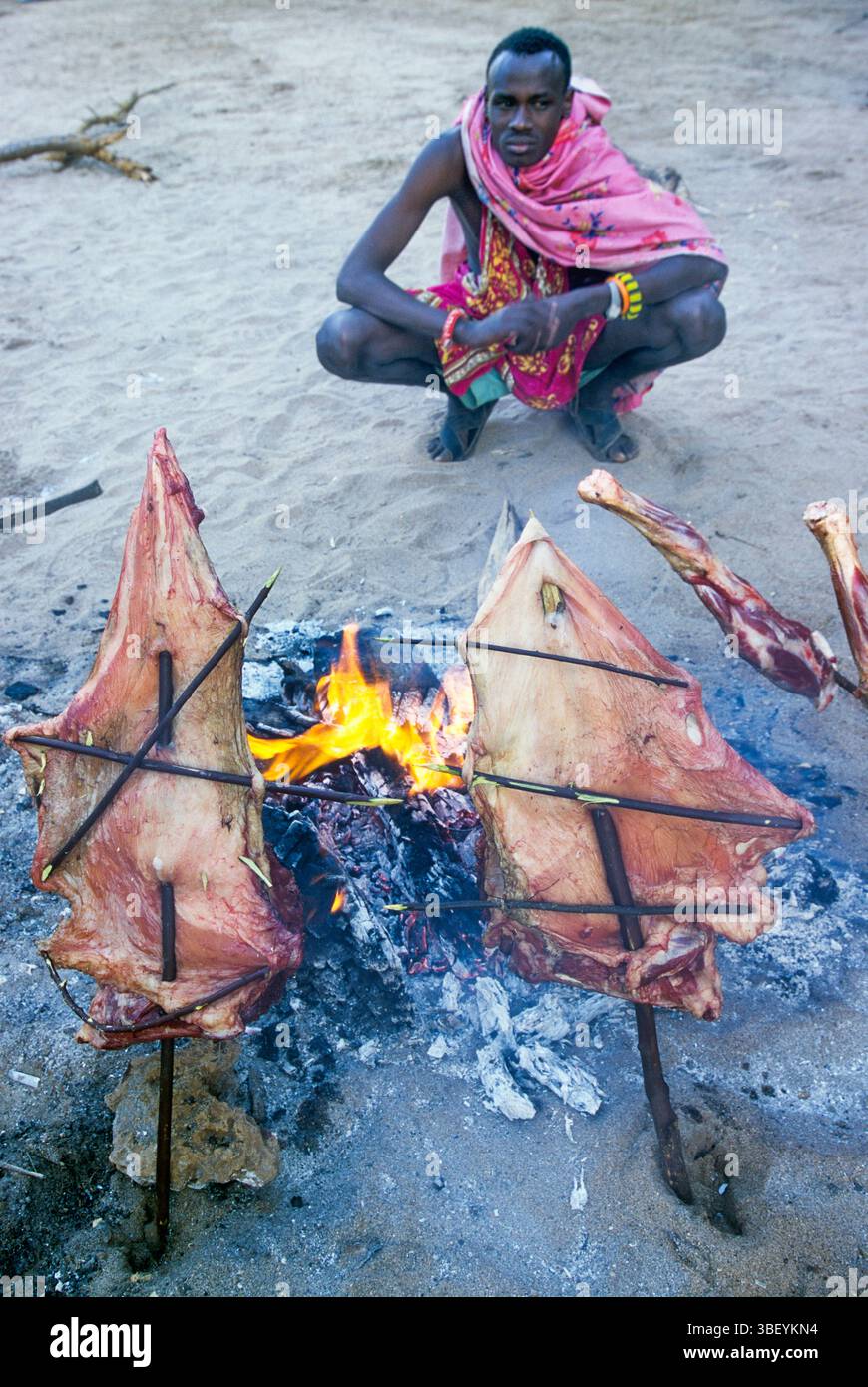Slow cooking of meat around a campfire in the bush, in Namanga region ...
