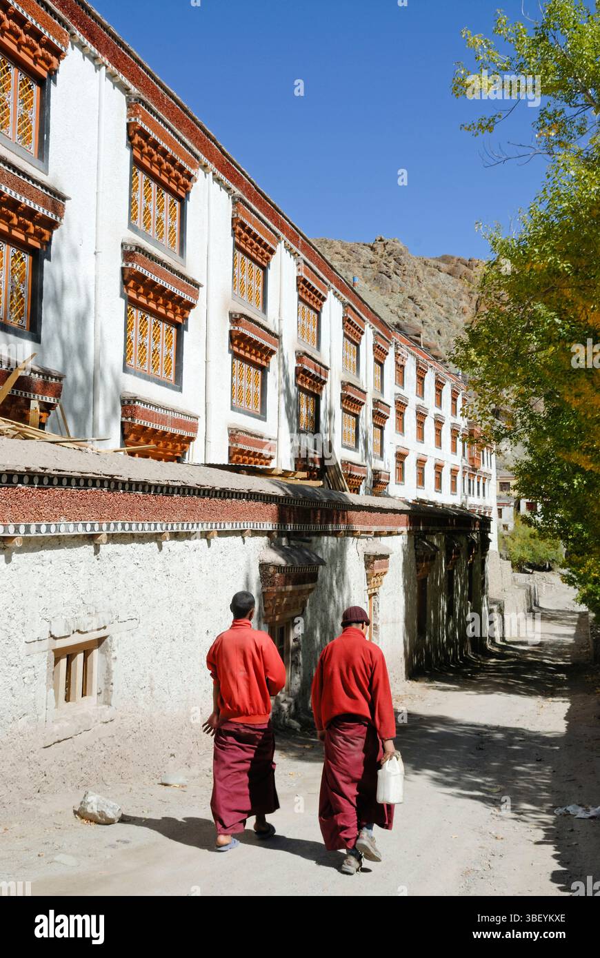 Monks at the Tibetan Buddhist Hemis Monastery, Ladakh region, state of ...