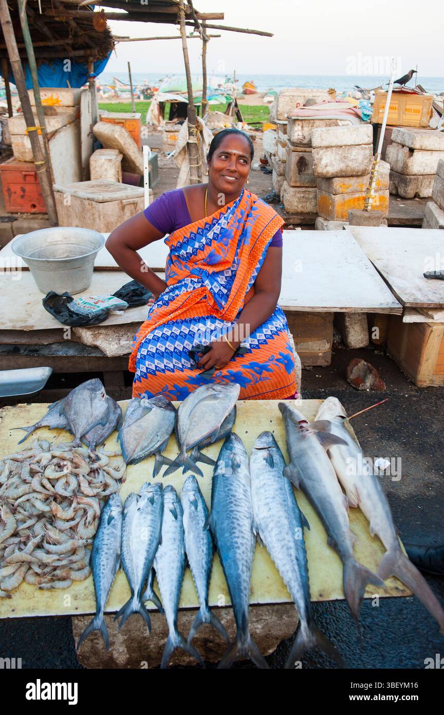 Fish seller at Marina Beach, Baie of Bengal, Chennai (Madras ...