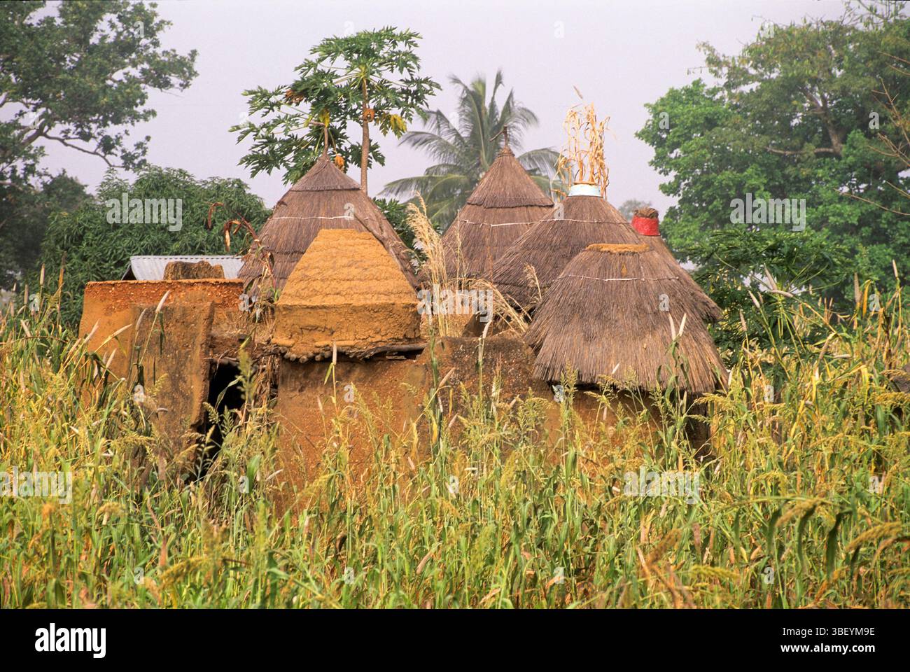 Fortified house, known as Tata Somba ('Somba house') in a Tammari ...