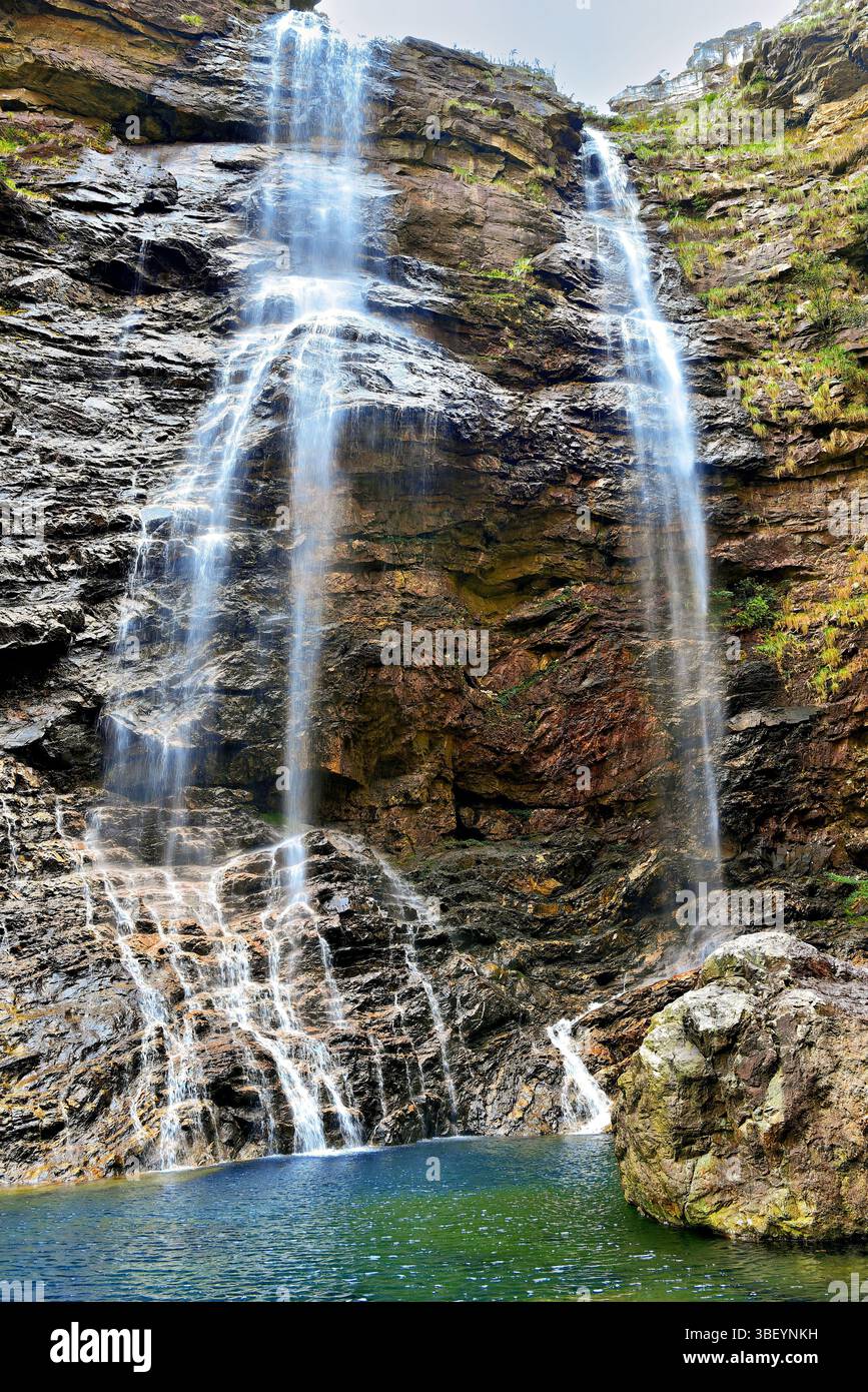 Tiered vegetation hi-res stock photography and images - Alamy