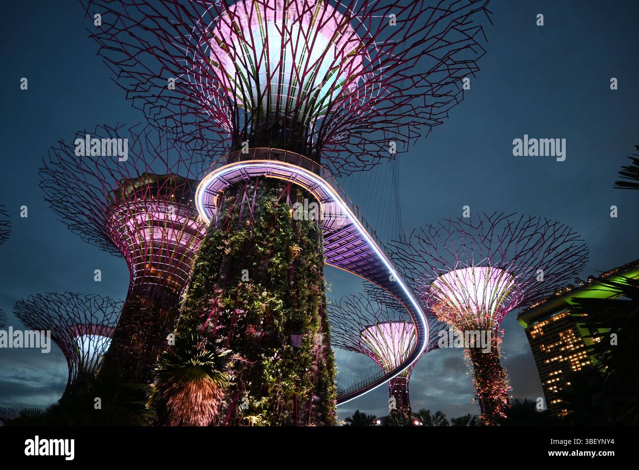 Super Trees in Gardens by the Bay, Singapore Stock Photo - Alamy