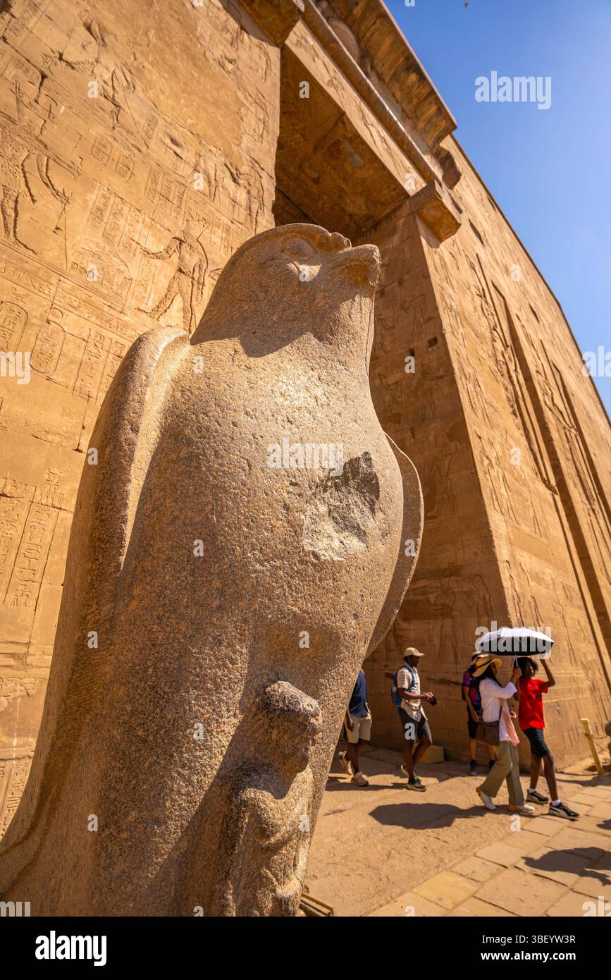 View of Statue of Horus at entrance to the Horus Temple, Edfu, Egypt ...