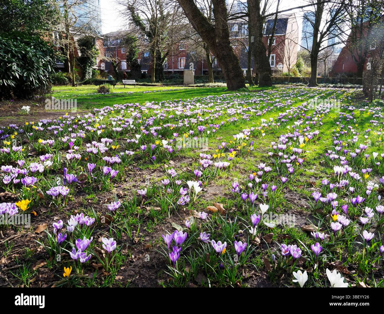 St johns gardens on hi-res stock photography and images - Alamy