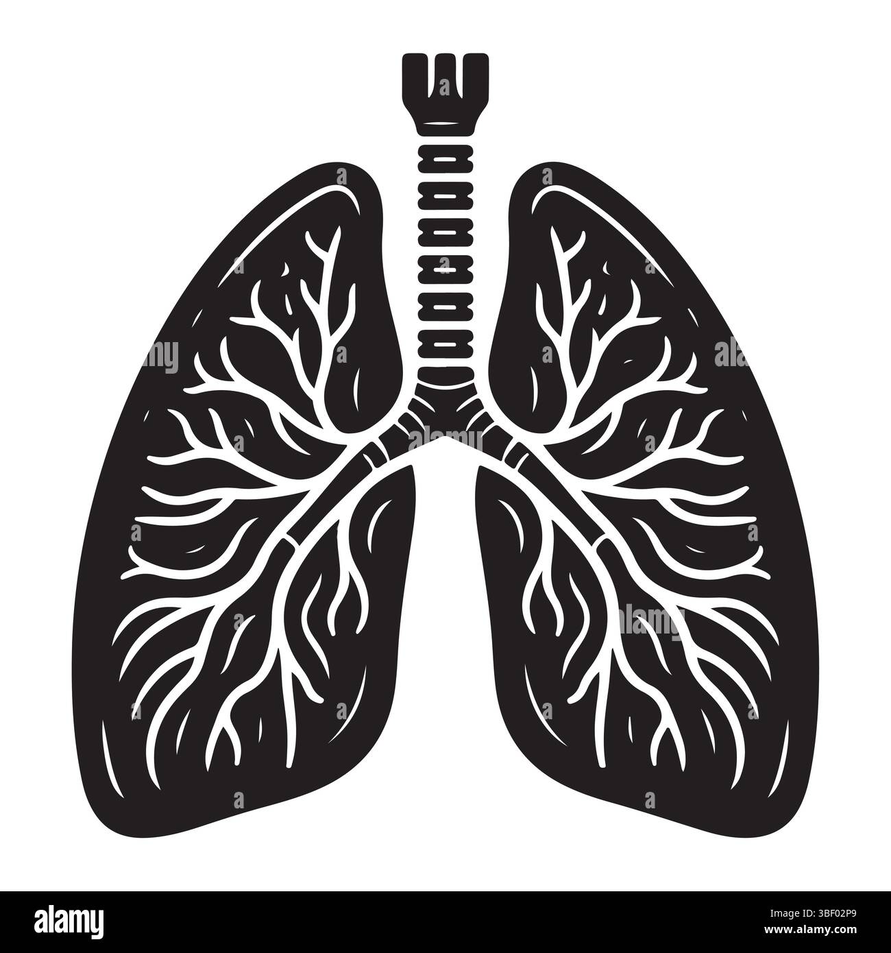 Respiratory system icon vector silhouette Stock Vector Image & Art - Alamy