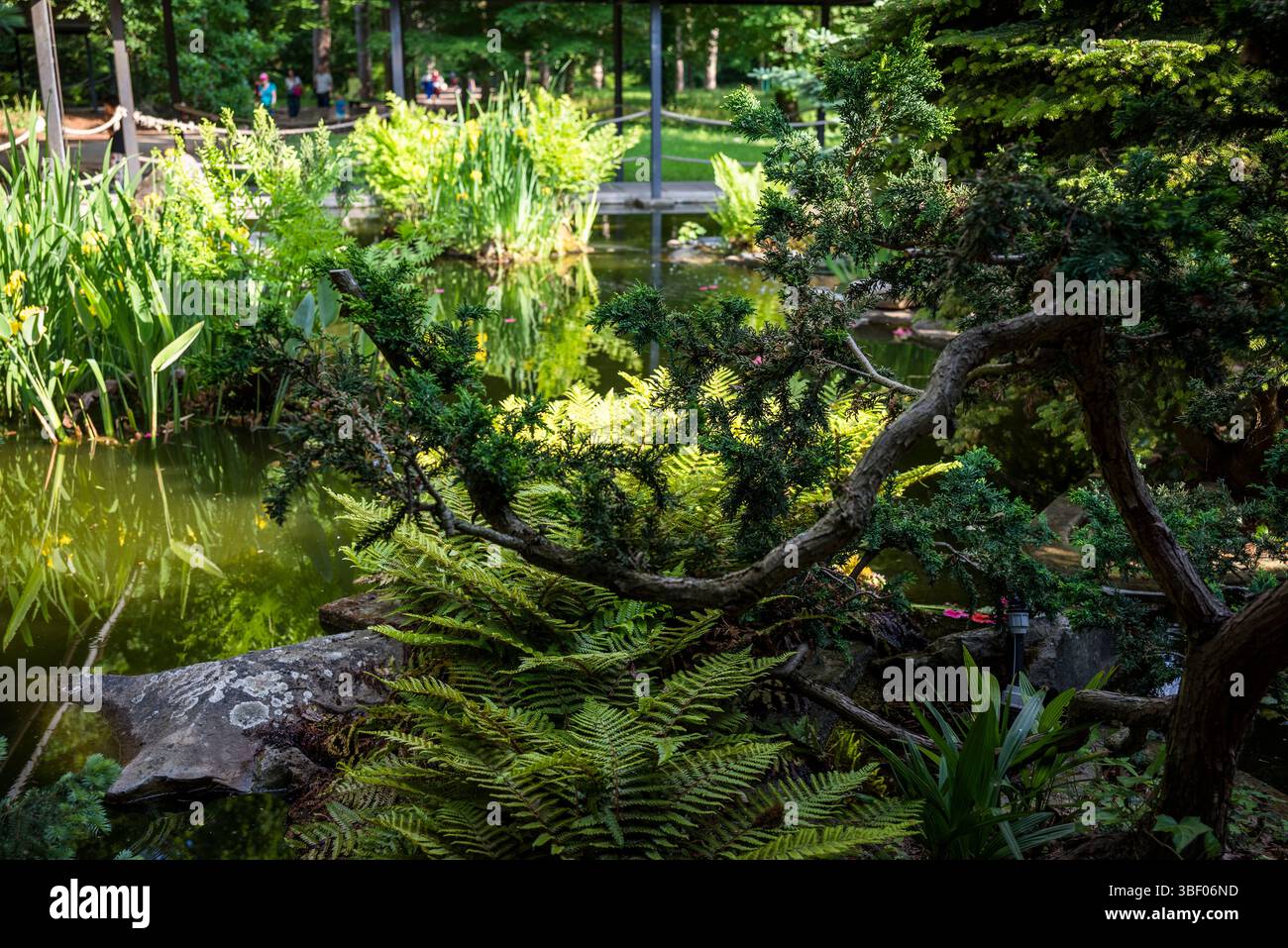Pond, Parc floral de Paris, park and botanical garden in the Bois de ...
