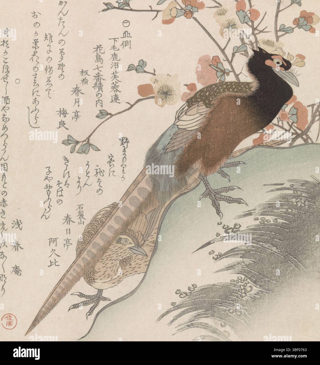 Yamagawa hi-res stock photography and images - Alamy