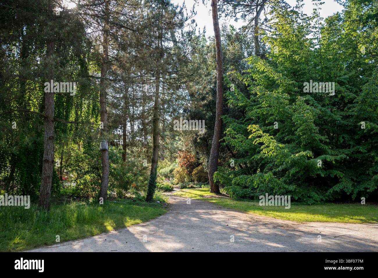 Parc floral de Paris, park and botanical garden in the Bois de ...