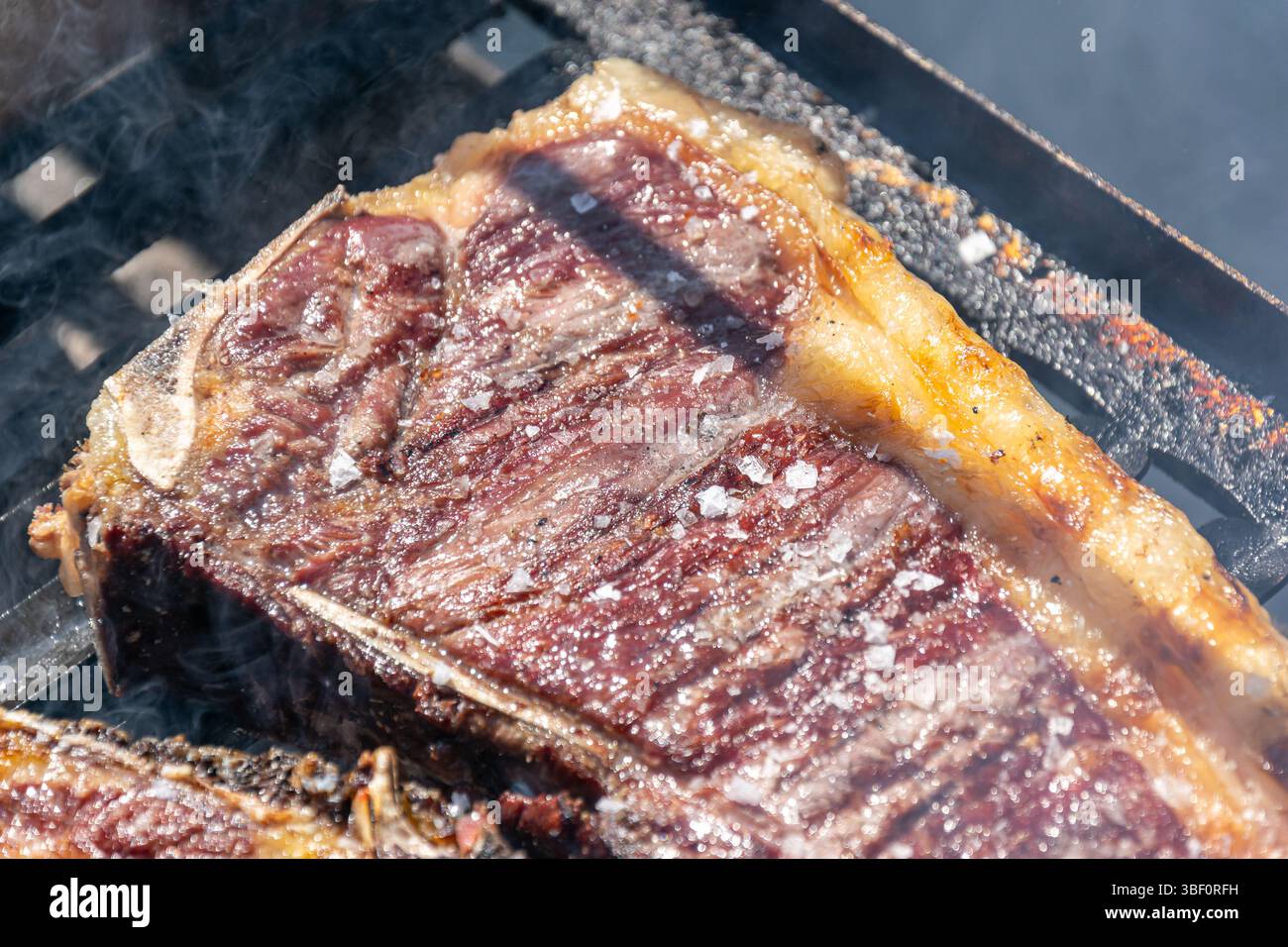 detail of a delicious grilled steak and ribs with visible char marks ...
