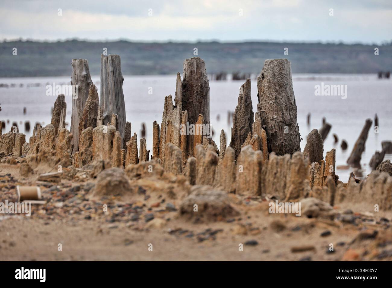 Non Exclusive: A view of the Kuialnyk Estuary, Odesa region, Ukraine ...
