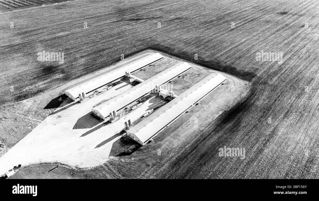 Aerial view above a confined animal operation hog building Stock Photo ...