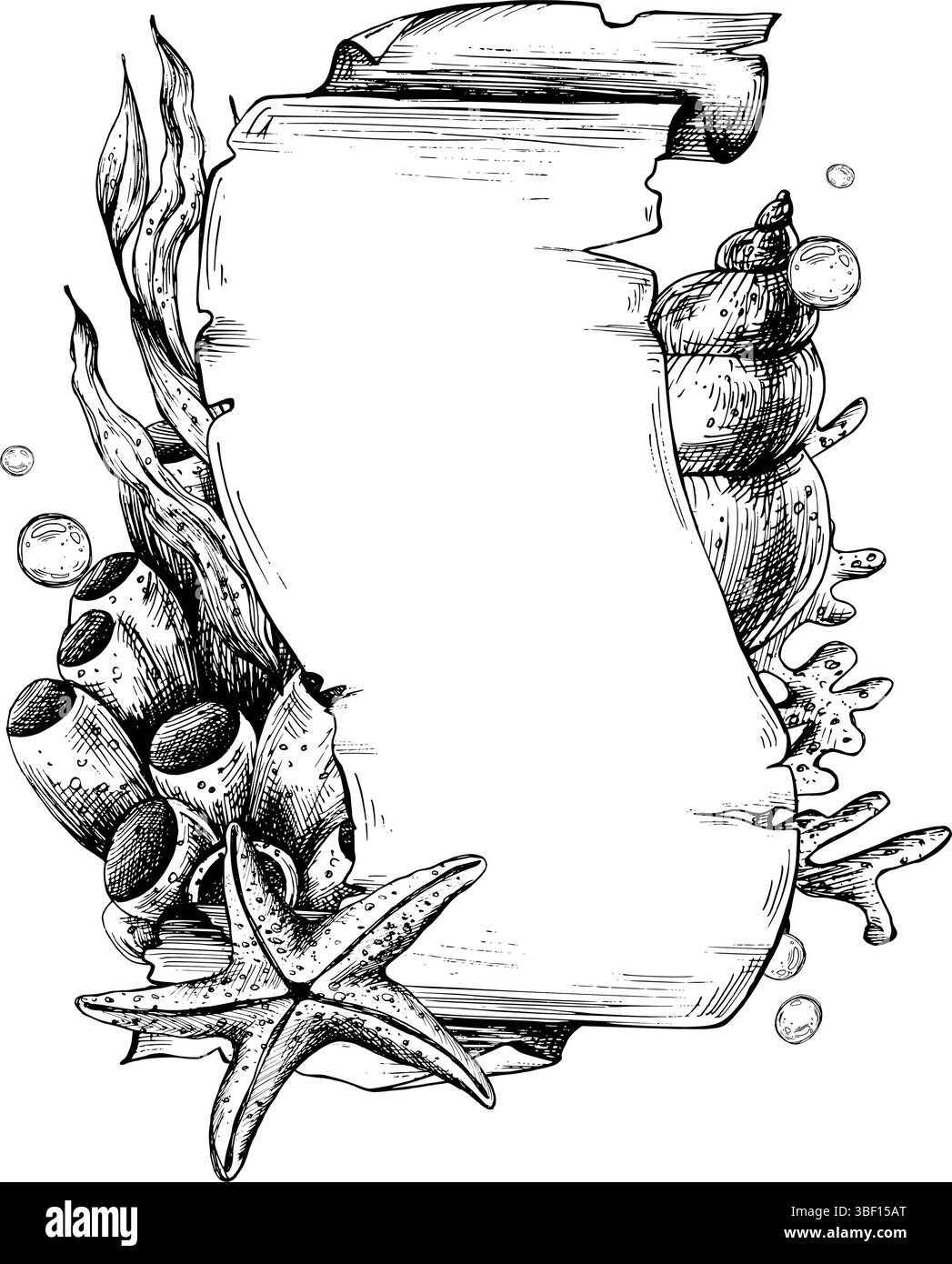 Papyrus rolled scroll with jagged edges, space for text with corals ...