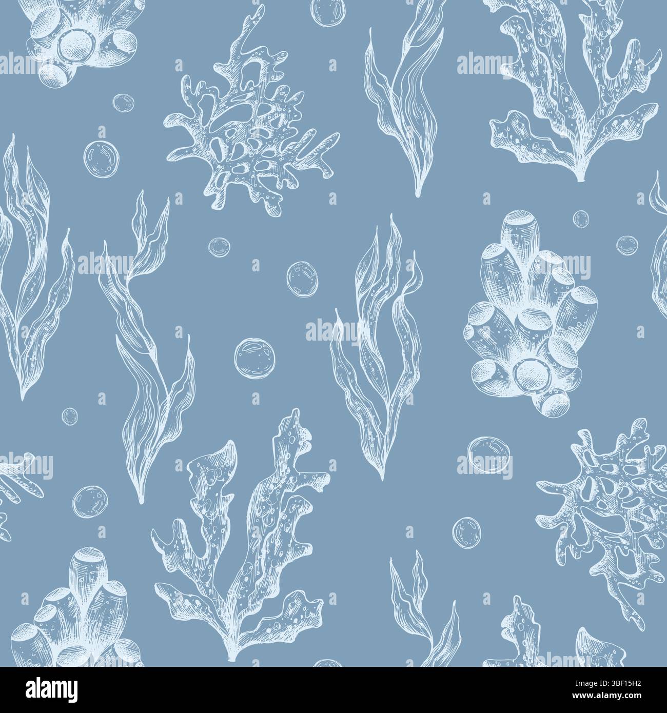 Marine underwater clip art with shells, sea sponges, corals, starfish ...