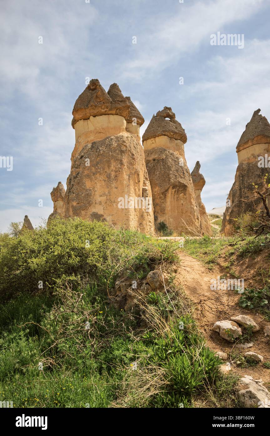Cappadocia's fairy chimneys rise from the landscape. These unique rock formations, sculpted by ...