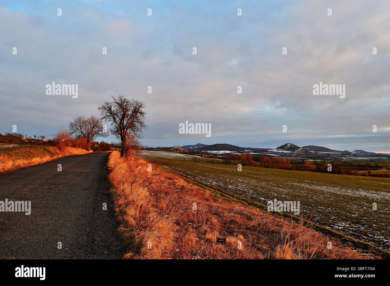 Golden field winding path hi-res stock photography and images - Alamy