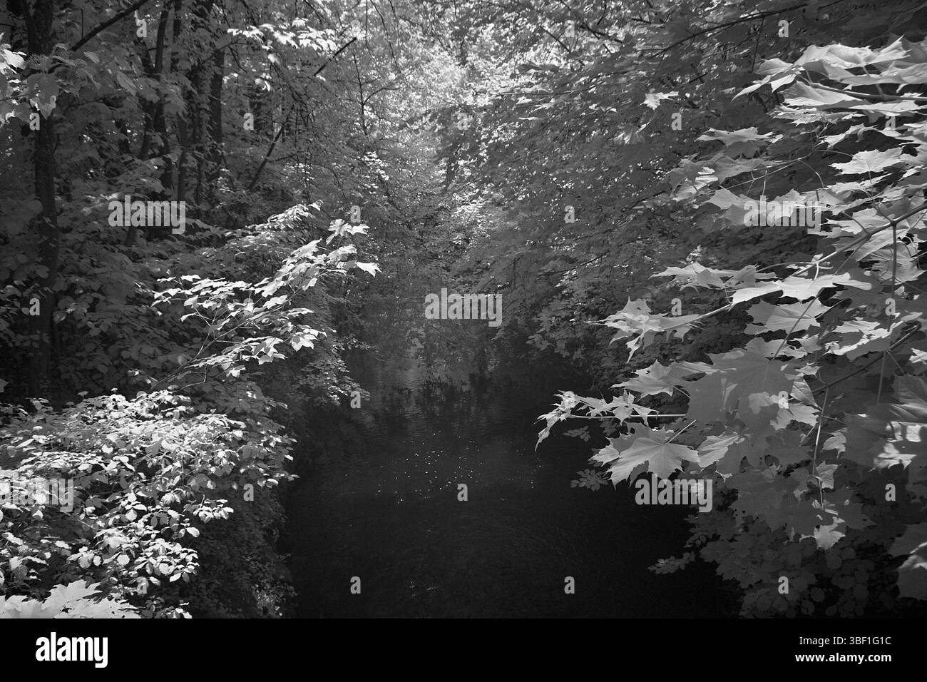 RECORD DATE NOT STATED infrared image of a small river in Helmstadt ...