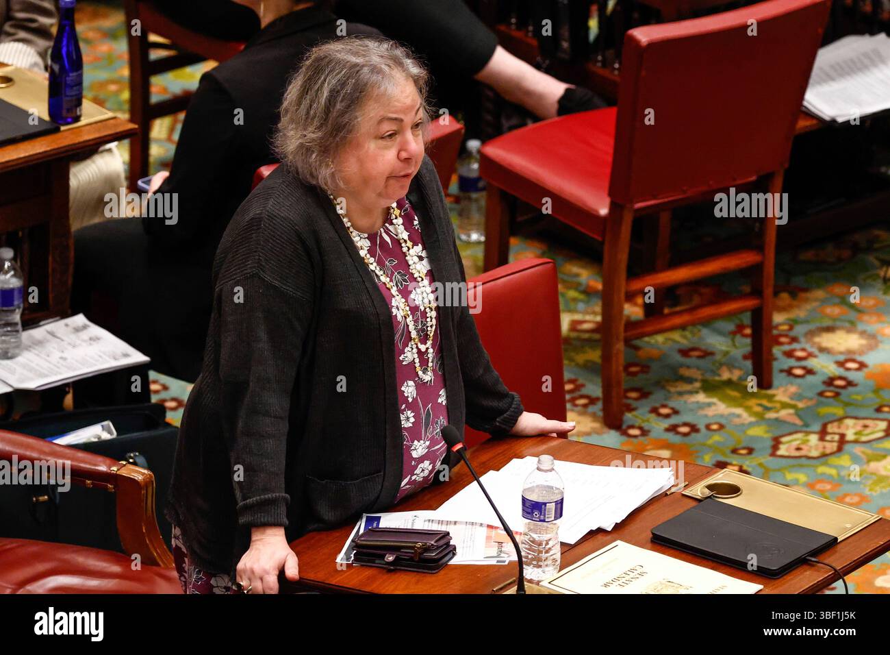New York State Senator Liz Krueger speaks on the State Capitol ...