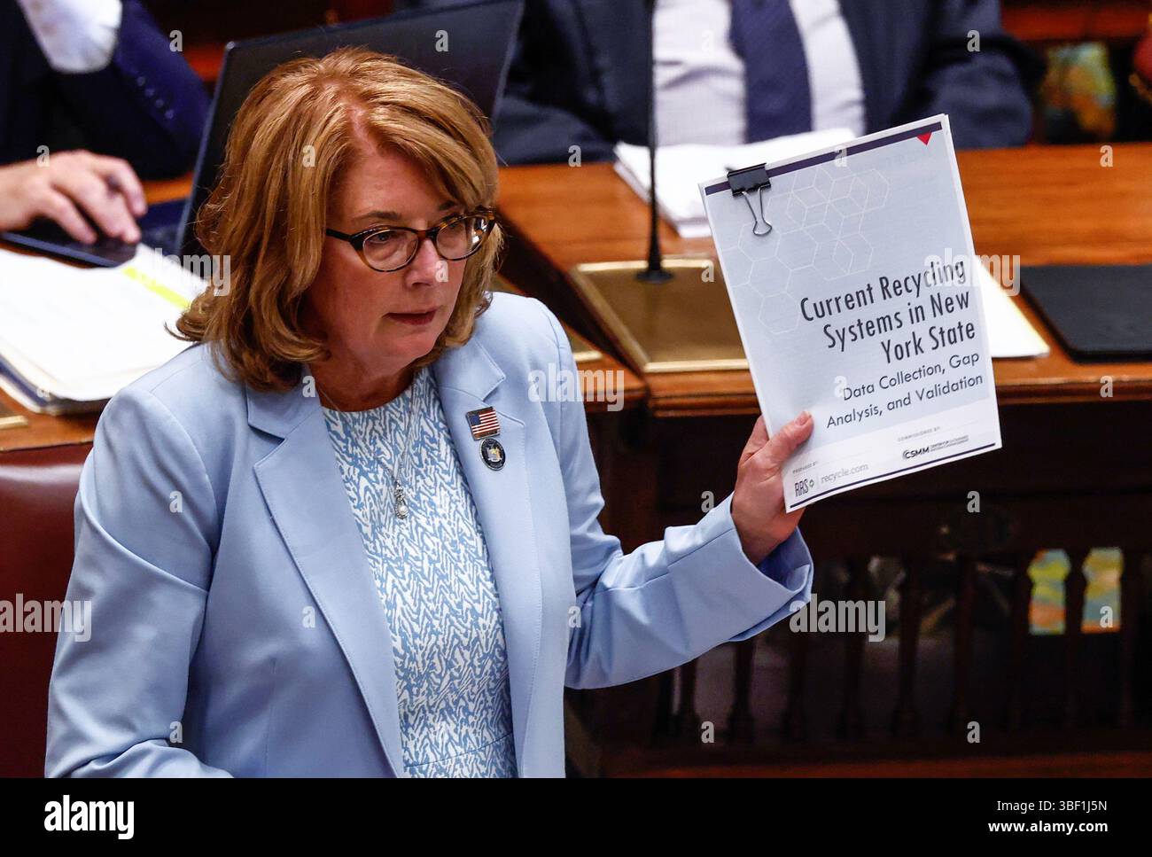 New York State Senator Pamela Helming speaks on the State Capitol ...