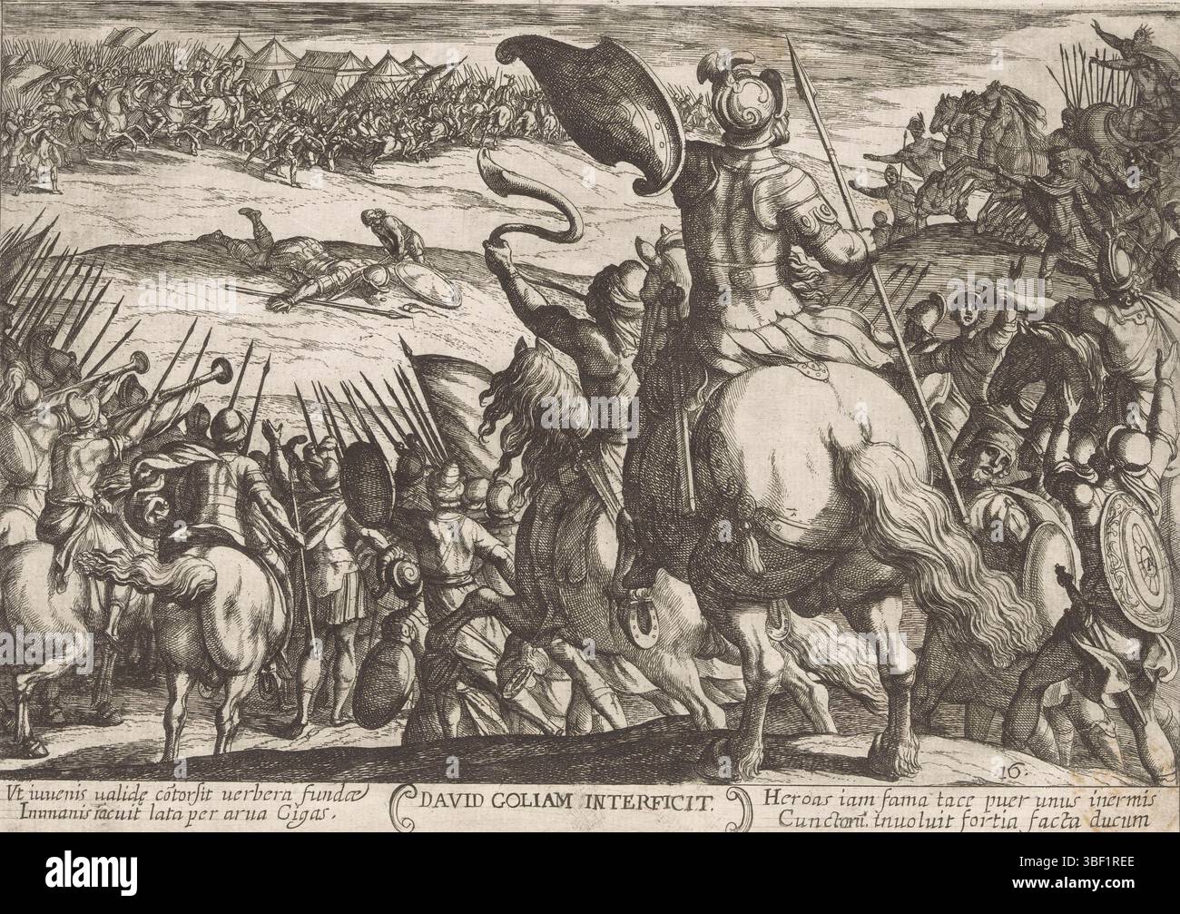 Giant goliat hi-res stock photography and images - Alamy